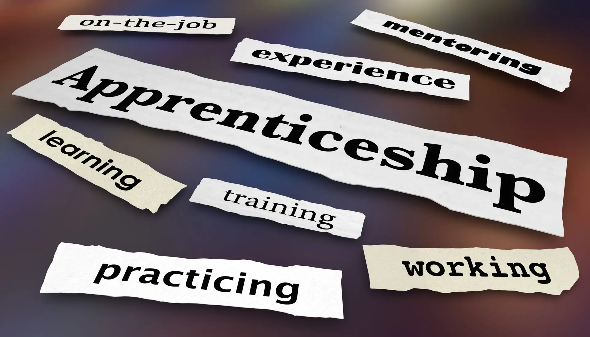 Providing local apprenticeship opportunities - Qualis